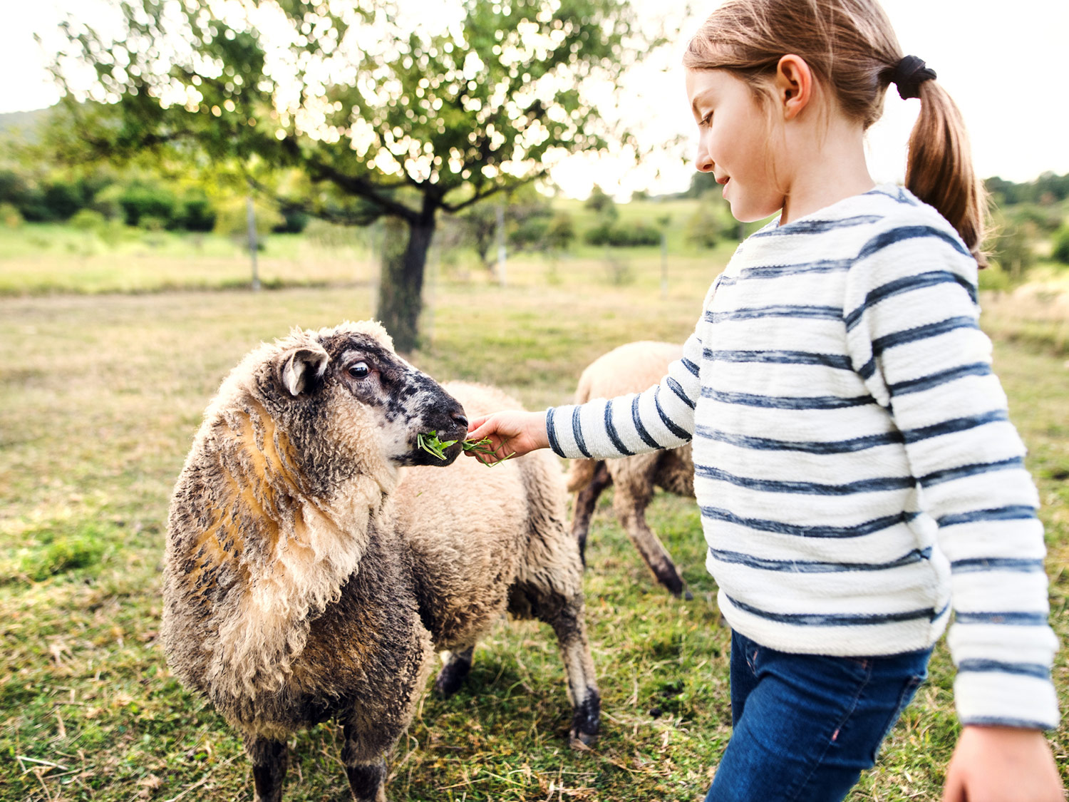 Kid-Friendly Animal Adventures