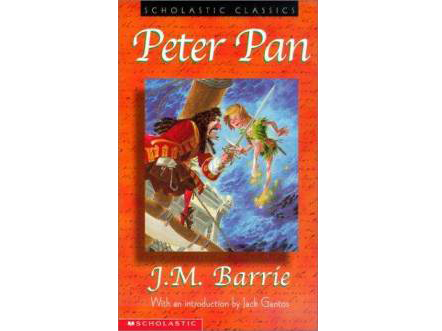 Pirate Themed Books for 6-7 Year Olds